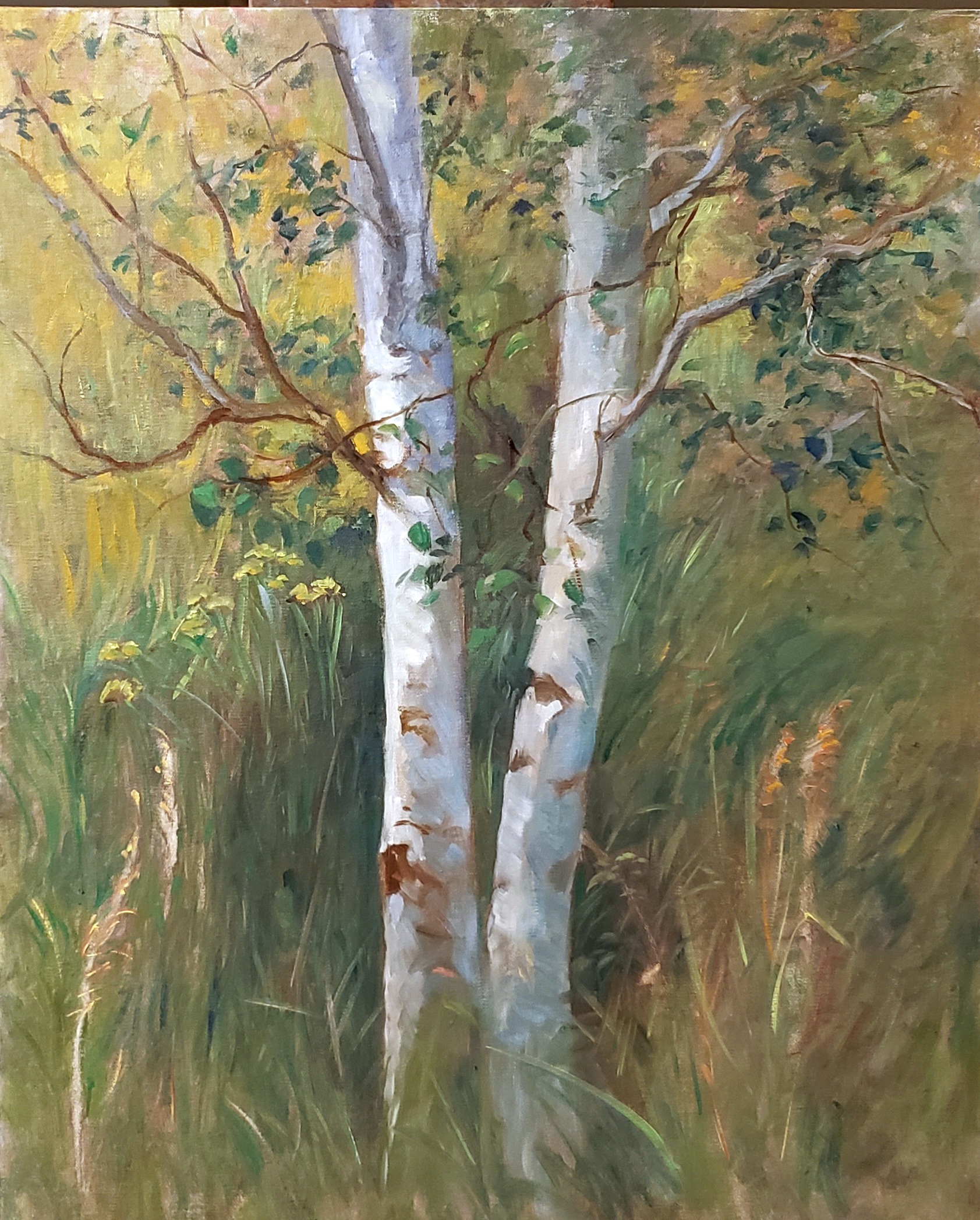 Anatomy of an Aspen Tree – Jeanean Songco Martin Painting Blog